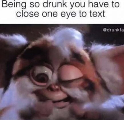 45 Really Funny Memes About Getting Drunk - SayingImages.com