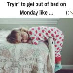 100 Funny Monday Memes To Start Your Week Right - SayingImages.com