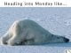 100 Funny Monday Memes To Start Your Week Right - SayingImages.com
