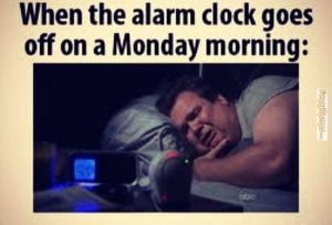 100 Funny Monday Memes To Start Your Week Right - SayingImages.com