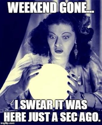 100 Funny Monday Memes To Start Your Week Right - SayingImages.com