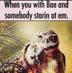 75 Funny Relationship Memes To Make Your Partner Laugh - SayingImages.com
