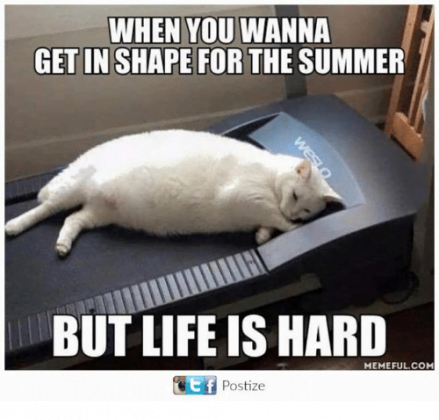 30 Hilarious Life Memes to Complete Your Day - SayingImages.com