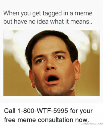 24 Hilarious When You Memes To Cheer You Up - SayingImages.com