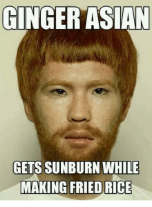 30 Ginger Memes That Are Way Too Witty - SayingImages.com