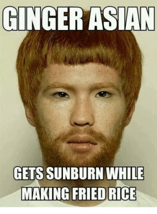 30 Ginger Memes That Are Way Too Witty - SayingImages.com
