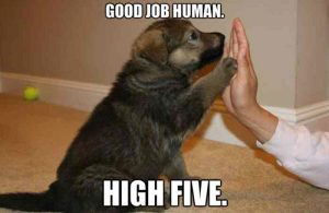 30 Good Job Memes to Make You Feel Proud - SayingImages.com