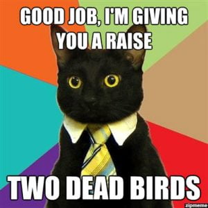 30 Good Job Memes to Make You Feel Proud - SayingImages.com