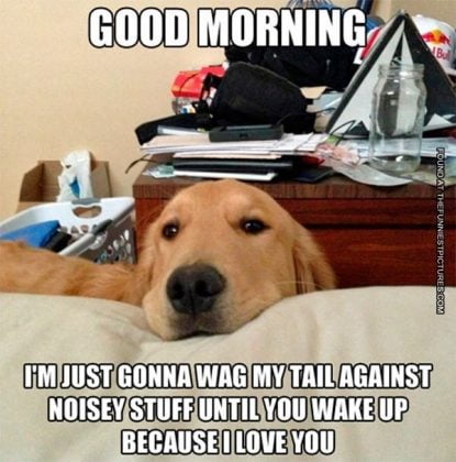 80 Good Morning Memes To Kickstart Your Day - SayingImages.com