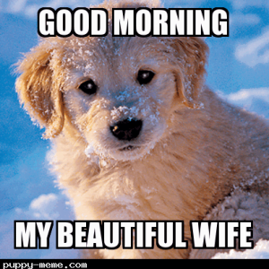 80 Good Morning Memes To Kickstart Your Day - SayingImages.com