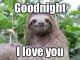 50 Cutest Goodnight Memes - SayingImages.com