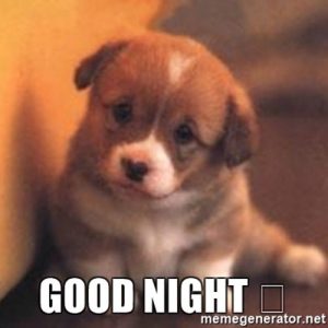 50 Cutest Goodnight Memes - SayingImages.com