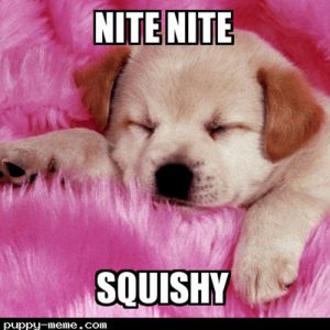 50 Cutest Goodnight Memes - SayingImages.com