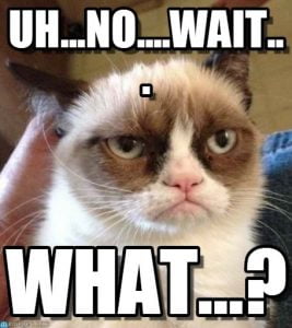 20 Wait What Memes For When You Ran Out of Words to Say - SayingImages.com