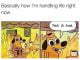 30 Hilarious Life Memes to Complete Your Day - SayingImages.com