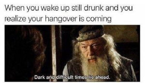 30 Hangover Memes That Are Way Too True - SayingImages.com