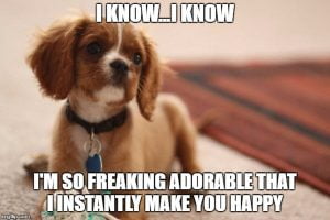 40 Happy Memes To Make You A Whole Lot Better | Grain of sound