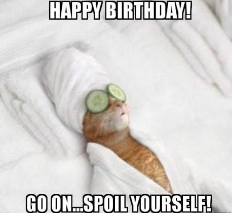35 Cat Birthday Memes That Are Way Too Adorable - SayingImages.com