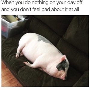 40 Happy Memes To Make You Feel A Whole Lot Better - SayingImages.com