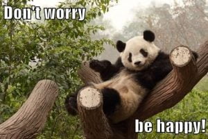 40 Happy Memes To Make You Feel A Whole Lot Better - SayingImages.com