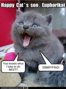 40 Happy Memes To Make You Feel A Whole Lot Better - SayingImages.com