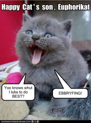 40 memes felices para hacerte sentir mucho mejor | Grain of sound