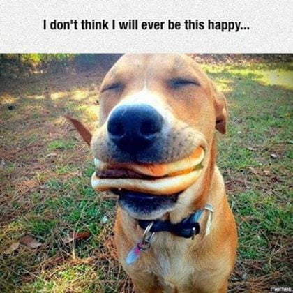 40 Happy Memes To Make You A Whole Lot Better | Grain of sound