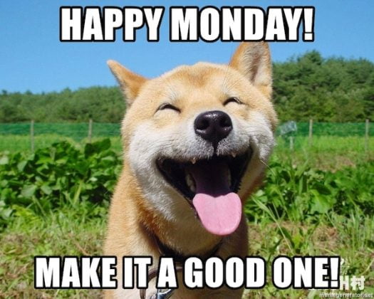 30 Best Memes To Start Monday The Right Way - SayingImages.com