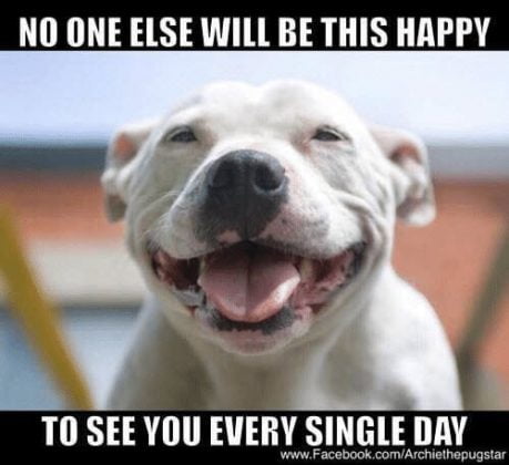 40 Happy Memes To Make You A Whole Lot Better | Grain of sound