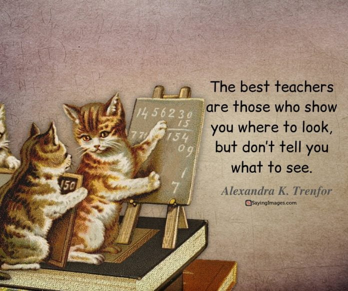 45 Happy Teacher’s Day Quotes - Saying Images