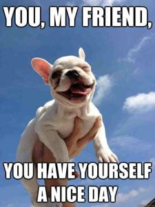 30 Have A Good Day Memes to Cheer You Up - SayingImages.com