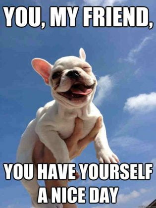 30 Have A Good Day Memes to Cheer You Up - SayingImages.com