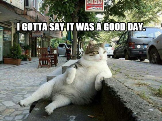 30 Have A Good Day Memes to Cheer You Up - SayingImages.com