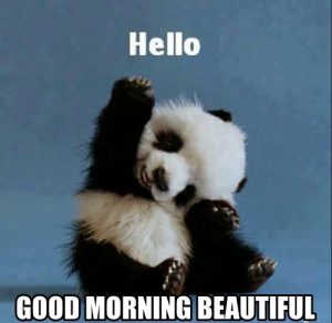 80 Good Morning Memes To Kickstart Your Day - SayingImages.com