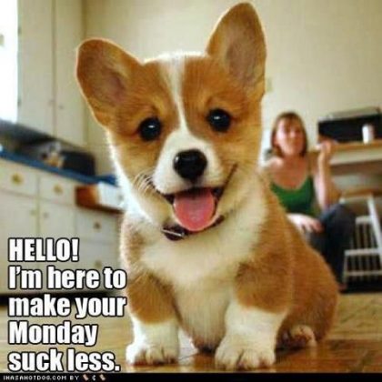 30 Best Memes To Start Monday The Right Way - SayingImages.com