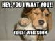 40 Funny Get Well Soon Memes To Cheer Up Your Dear One - SayingImages.com