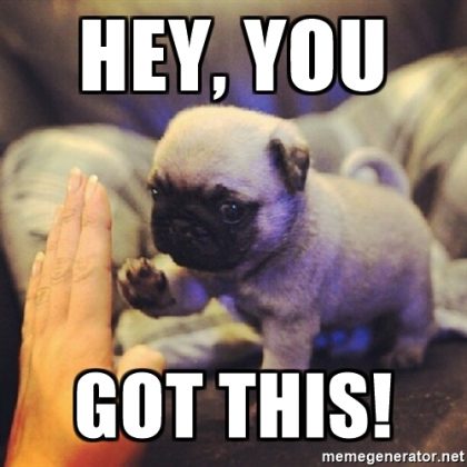 40 Best Memes To Let You Know That 'You Got This' - SayingImages.com