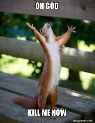 25 Kill Me Memes That Perfectly Capture Your Mood - SayingImages.com