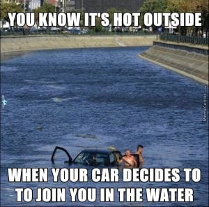 42 Hot Weather Memes to Help You Cool Down - SayingImages.com