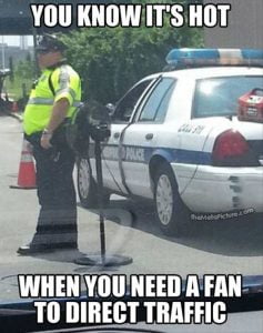 42 Hot Weather Memes to Help You Cool Down - SayingImages.com
