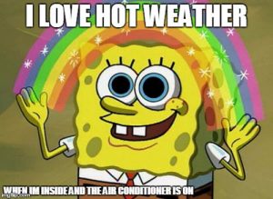 42 Hot Weather Memes to Help You Cool Down - SayingImages.com