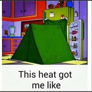 42 Hot Weather Memes to Help You Cool Down - SayingImages.com