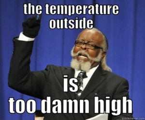 42 Hot Weather Memes to Help You Cool Down - SayingImages.com