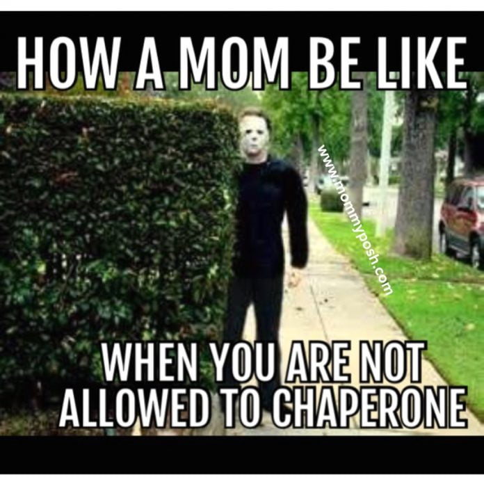 Memes Stress Mom