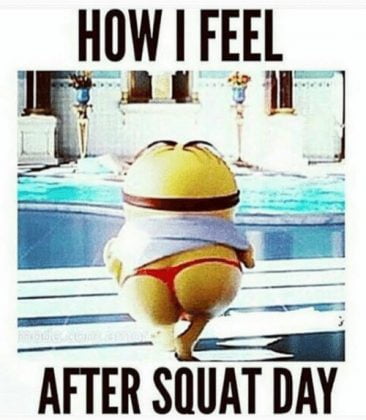 30 Hilarious Squat Memes That Will Make You Lose It - SayingImages.com