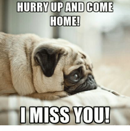 60 Cutest I Miss You Memes Of All Time - SayingImages.com