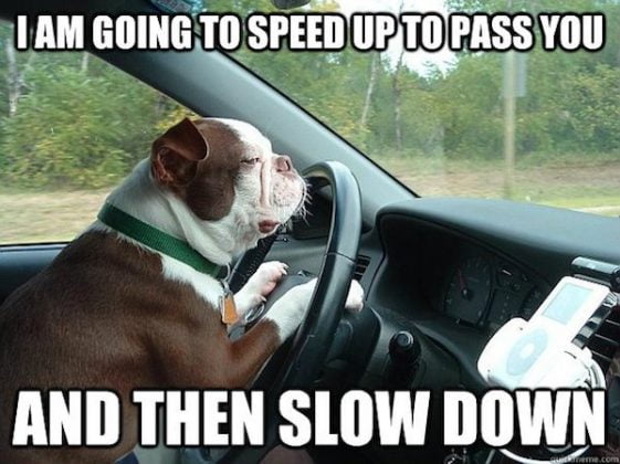 20 Most Hilarious Driving Memes - SayingImages.com