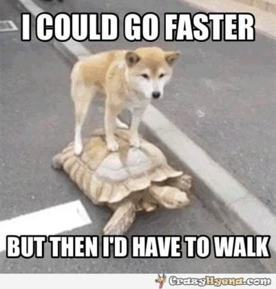 24 Lazy Memes to Make Your Day So Much Better - SayingImages.com