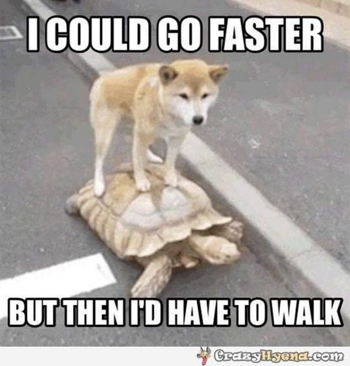 24 Lazy Memes to Make Your Day So Much Better - SayingImages.com
