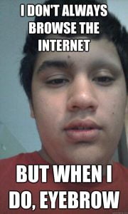 25 Eyebrow Memes That Are Totally On Fleek! - SayingImages.com